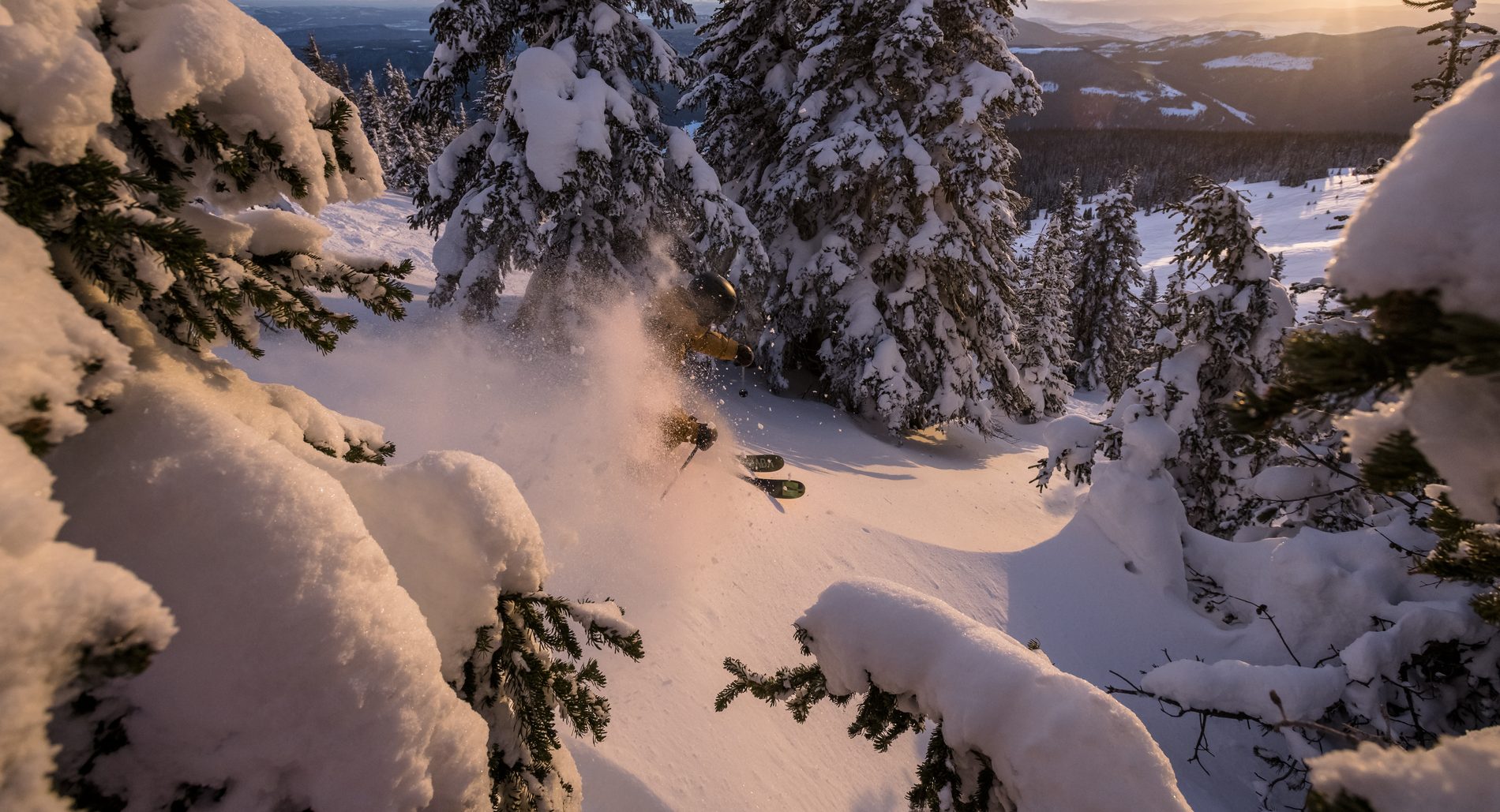 cropped-29229_dbc_1900_px.jpg | Noble Adventures